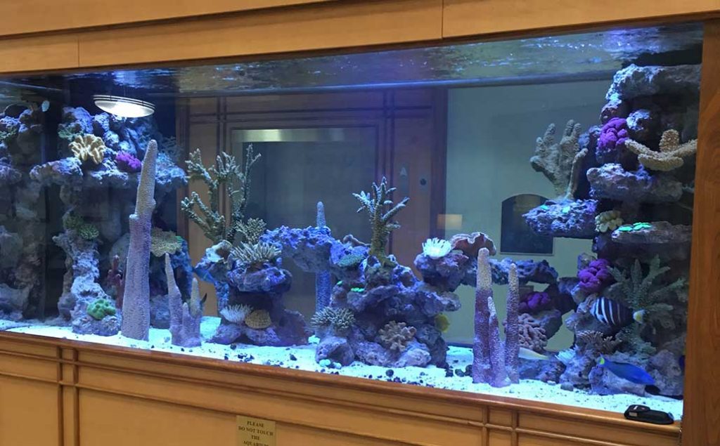 Services – Bert's Pet Center